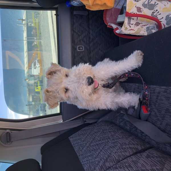 Vw transporter t5 - Cars - Tig.gg